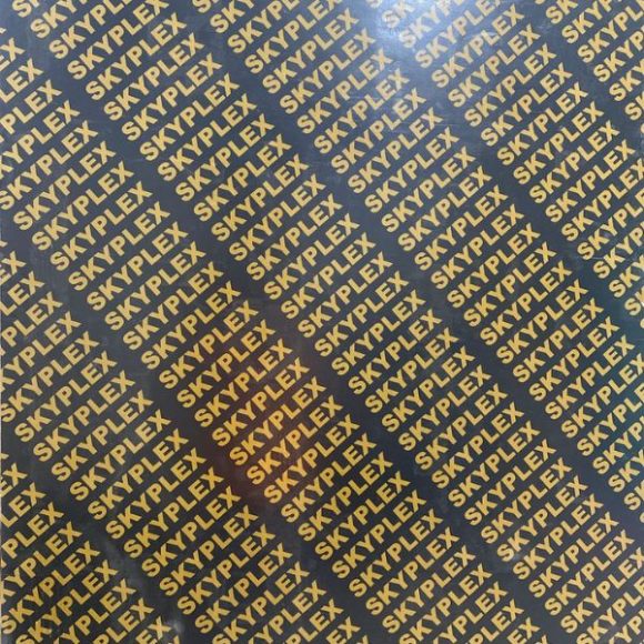 Skyplex Counter – Eleish Woods